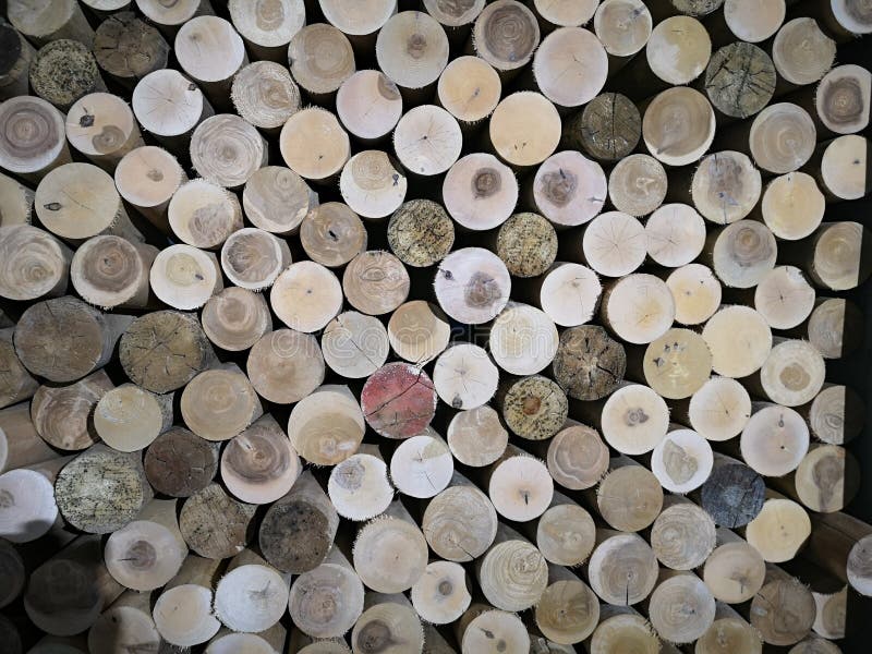 Round Firewood Stacked in a Pile. Stock Photo - Image of firewood ...