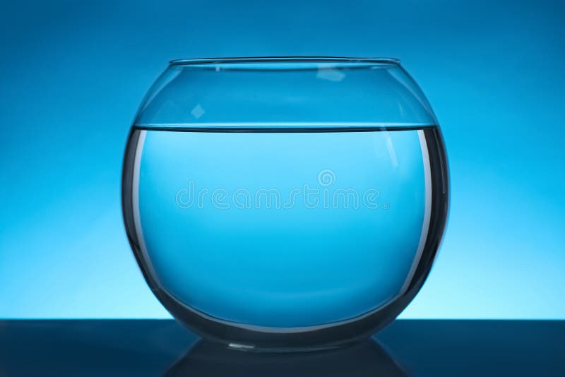 Round Fish Bowl Filled with Water on Blue Background Stock Photo ...