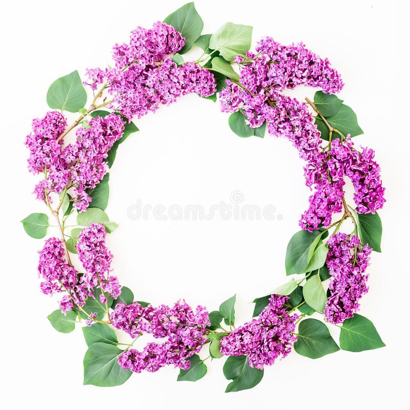 Round Floral Frame of Lilac Branches and Leaves on White Background ...