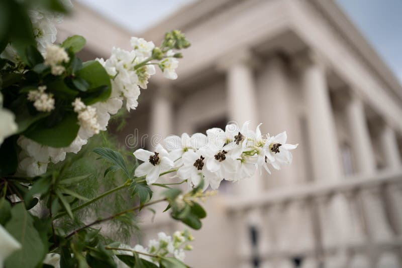 Round Flower Arch. Circle Wedding Ceremony Arch. Trend. Outside ...