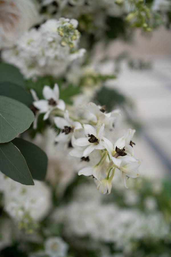 Round Flower Arch. Circle Wedding Ceremony Arch. Trend. Outside ...