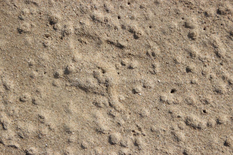 Round Forms in the Sand in Summer Stock Photo - Image of form, forms ...