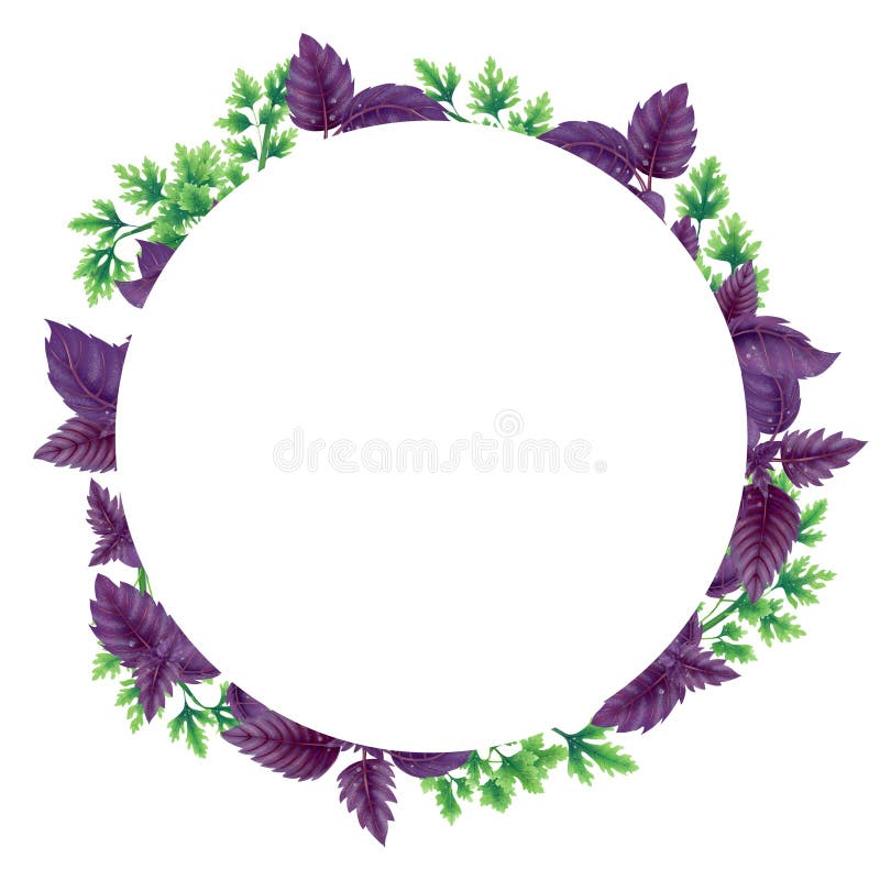 Round Frame of Basil Leaves and Parsley Stock Illustration ...