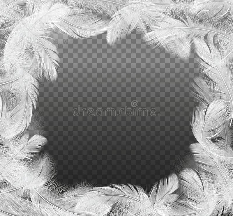 Round Frame of Bird Feathers Realistic Vector Illustration Stock Vector ...