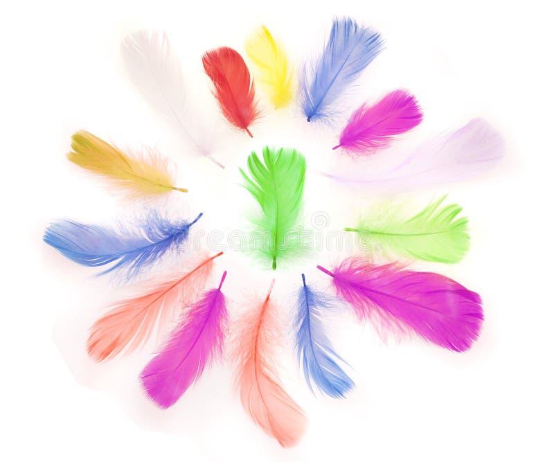 Round Frame of Colorful Bird Feathers Stock Image - Image of colored ...