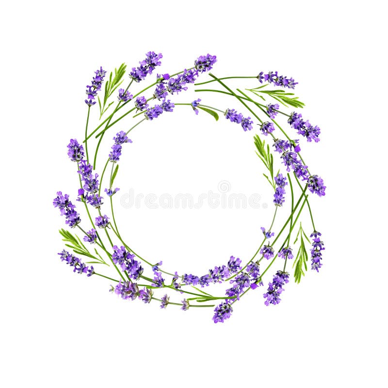 Round Frame Composition of Lavender Plant Flowers Stock Photo - Image ...