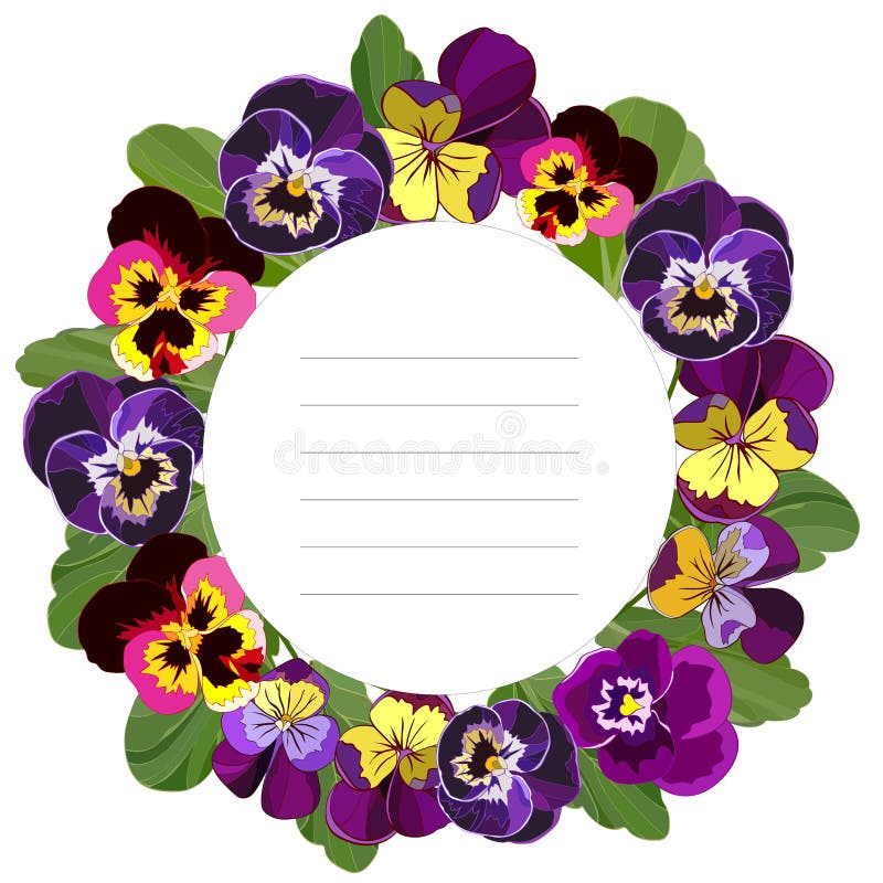 Round Frame for Congratulations of Bright Joyful Pansies Isolated on a ...