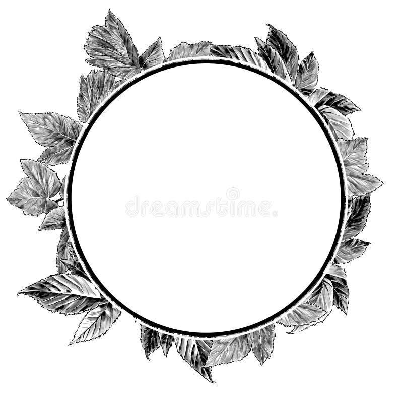 Round Frame Decorated with Leaves Stock Vector - Illustration of ...