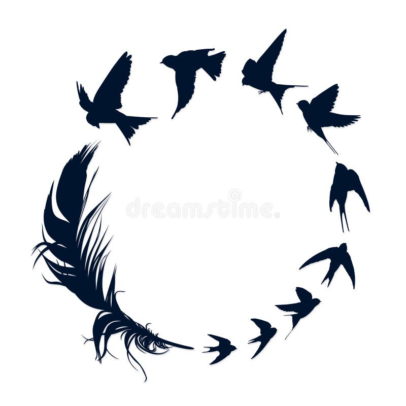Round Frame with Feather and Birds. Stock Vector - Illustration of ...