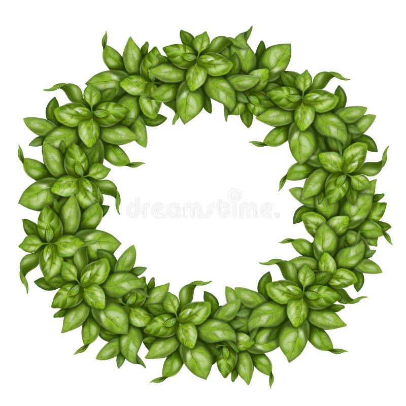 Round Frame Made of Fresh Basil Bunches. Herbs, Spices, Ingredients ...