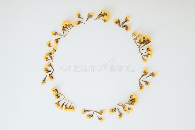 Round Frame Made of Yellow Flowers on White Background. Flat Lay, Top ...