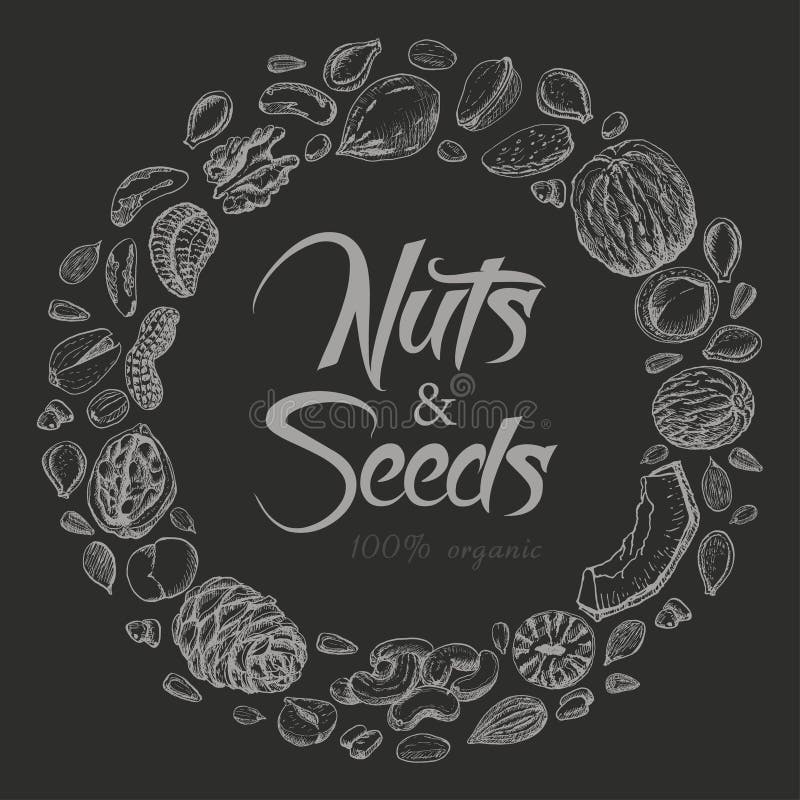 Vector Round Frame of Nuts and Seeds Stock Vector - Illustration of ...