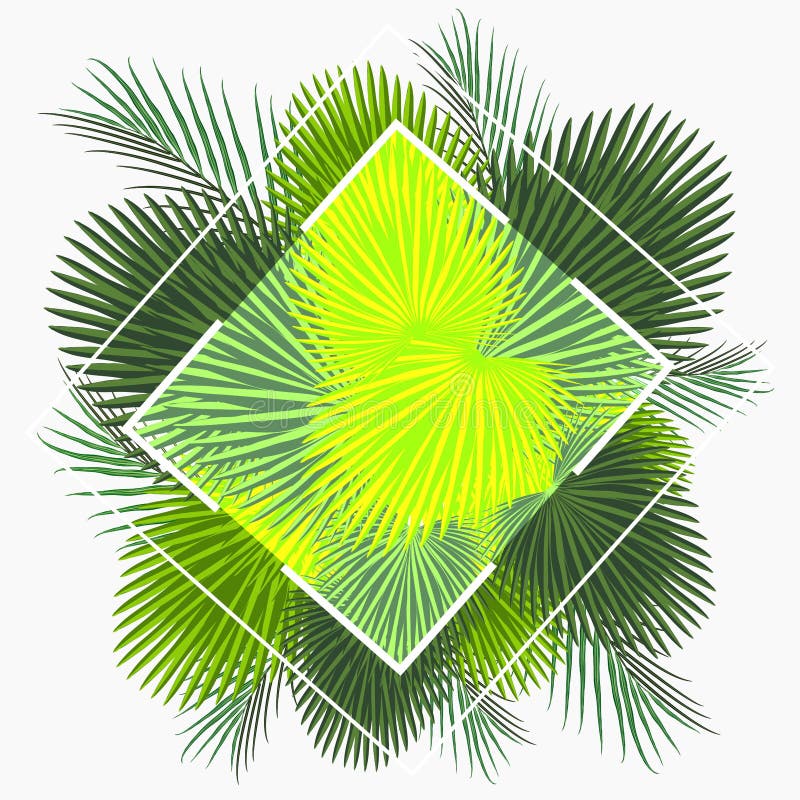 Round Frame with Palm Leaves on White Background Stock Vector ...