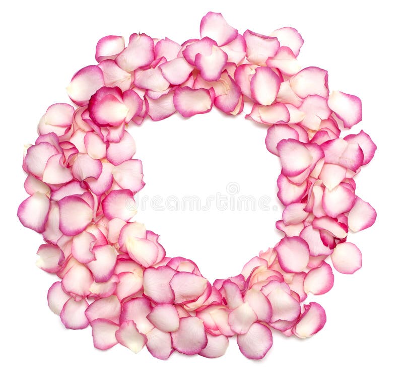 Round Frame of Pink Rose Petals Stock Photo - Image of isolated ...