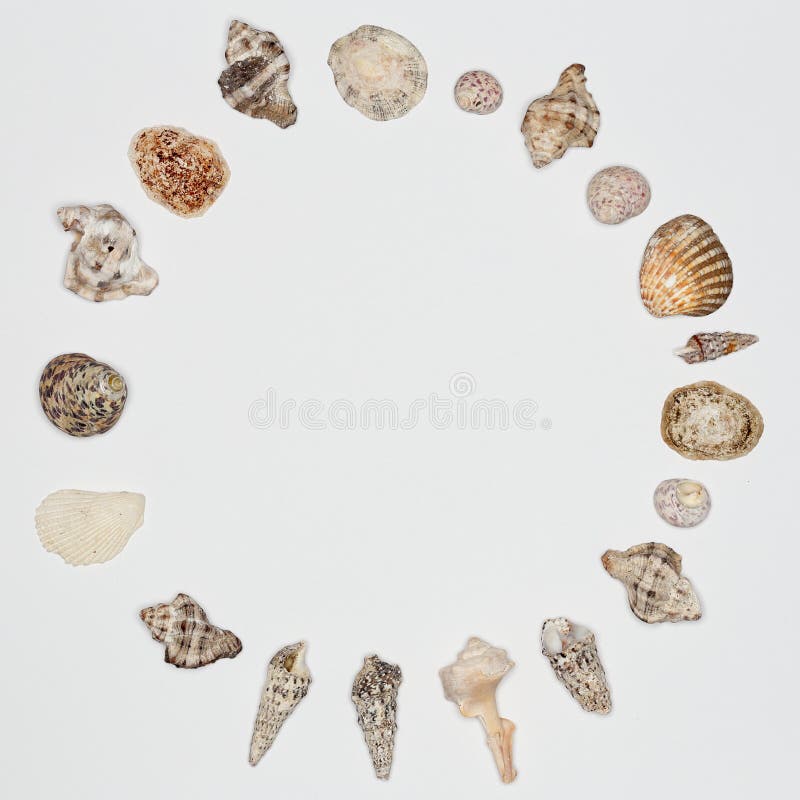 Round Frame with Sea-shells Stock Photo - Image of card, ornament: 96855760