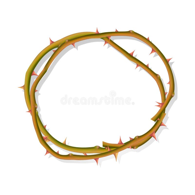 The Round Frame from Thorns Isolated on a White Background, Frame for ...