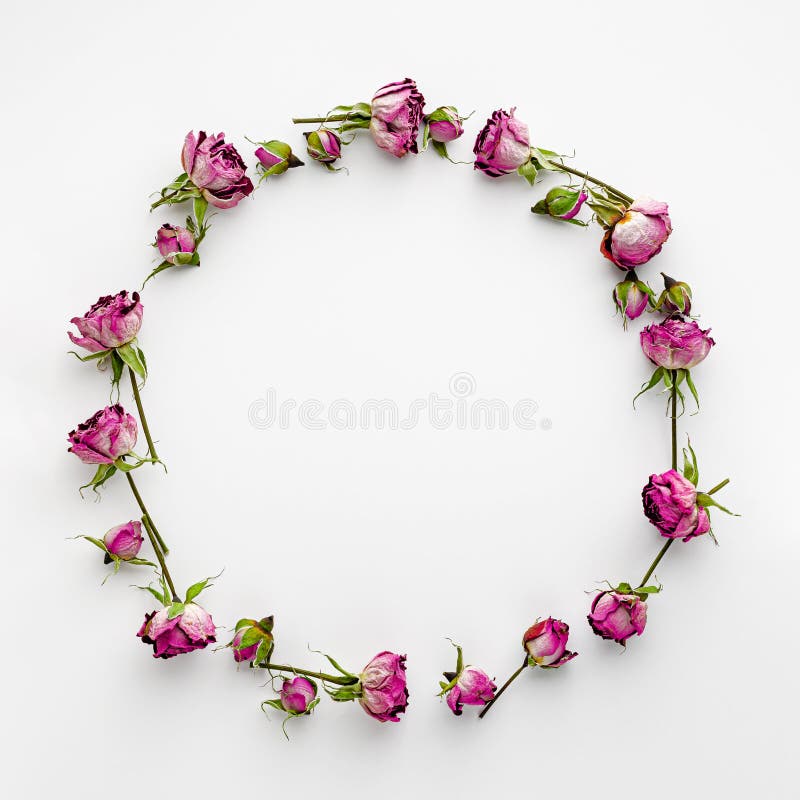 Round Frame or Wreath Made of Dried Pink Roses on White. Creative ...