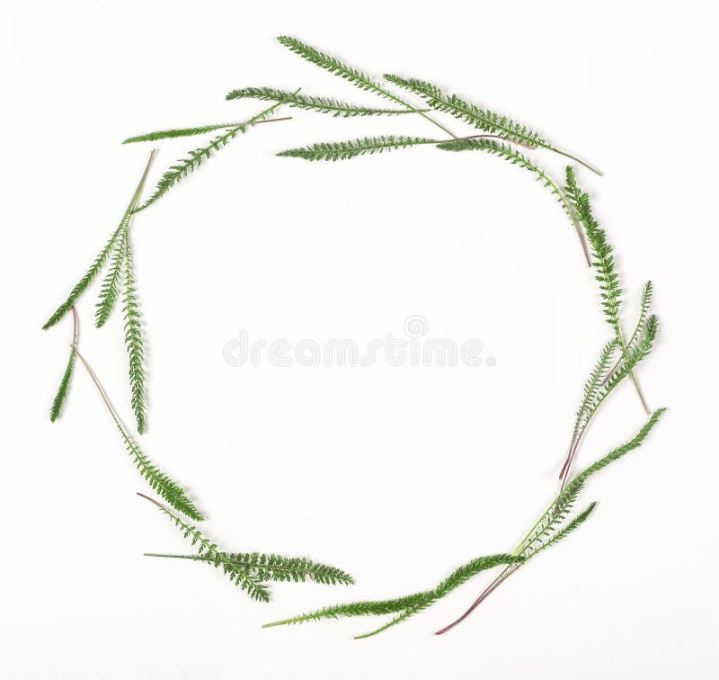 Round Frame Wreath Made of Spring Leaves Isolated on White Background ...
