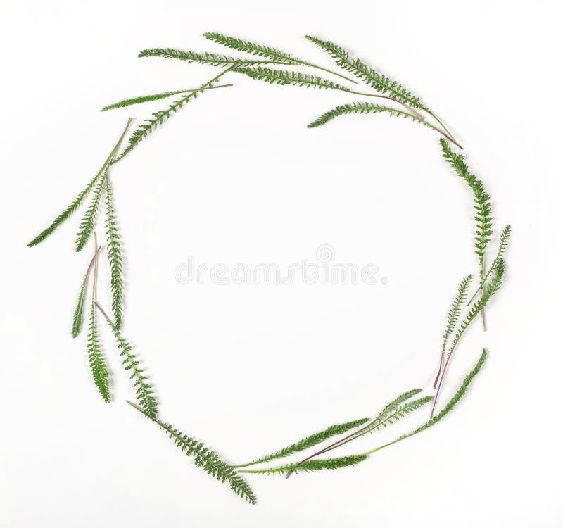 Round Frame Wreath Made of Spring Leaves Isolated on White Background ...