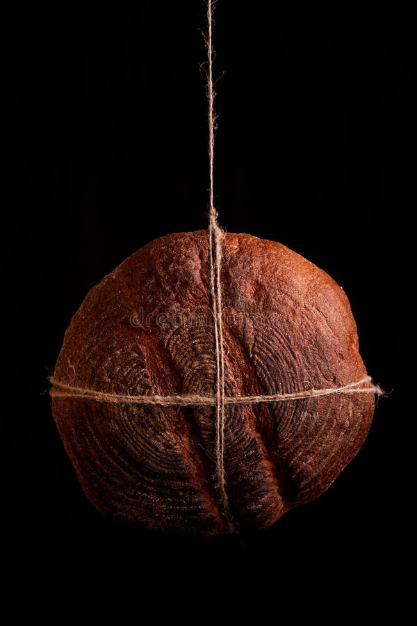 Fresh round bread stock photo. Image of baked, fresh - 19755252