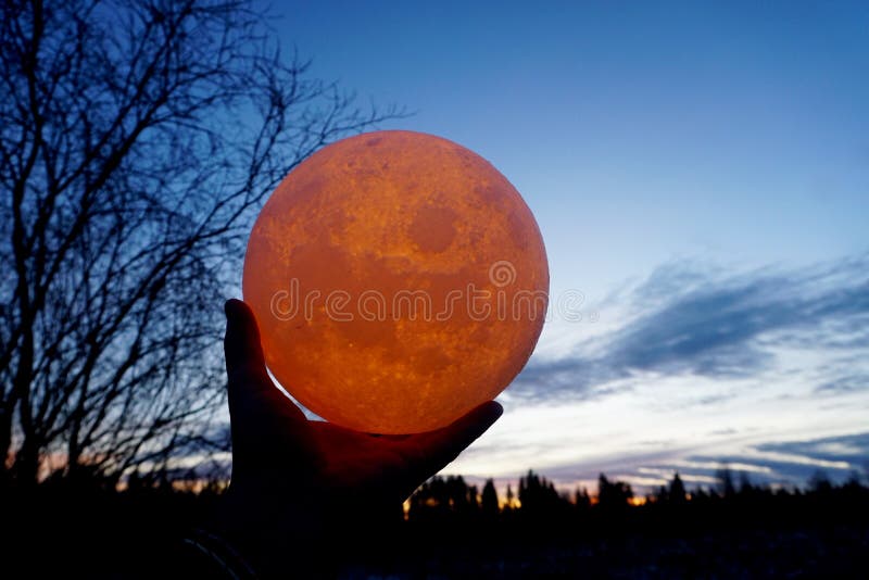 Round Full Moon in Tree Branches on Evening Sky Background Lunar Model ...