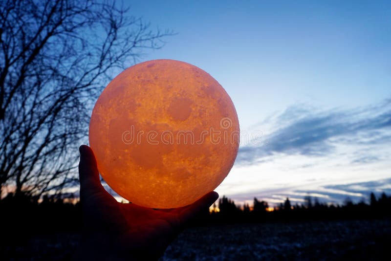 Round Full Moon in Tree Branches on Evening Sky Background Lunar Model ...