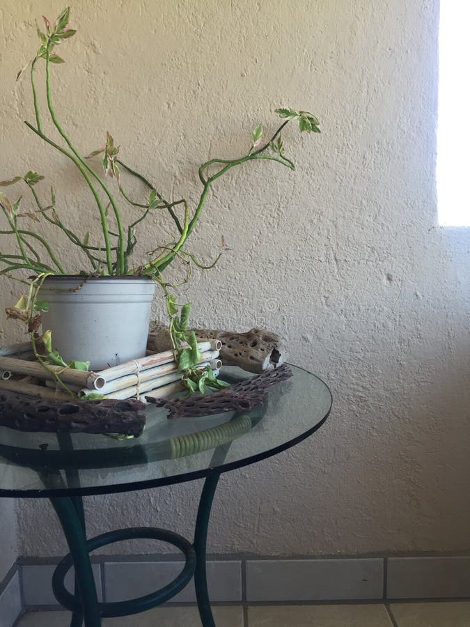 Side Table with Plant Growing in Front of Wall Stock Image - Image of ...