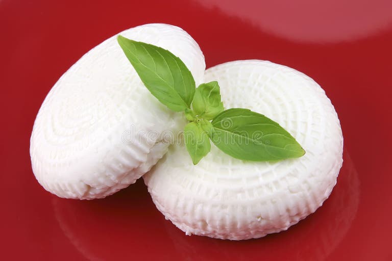 Round goat cheese stock photo. Image of ingredient, cook - 8397994
