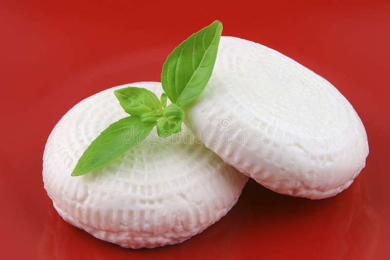 Round Goat Cheese and Basil Stock Photo - Image of healthy, light: 9253040