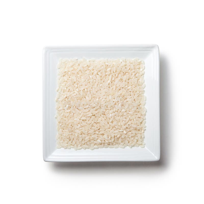 Round Grain Raw White Rice on a Plate Stock Image - Image of diet, bowl ...