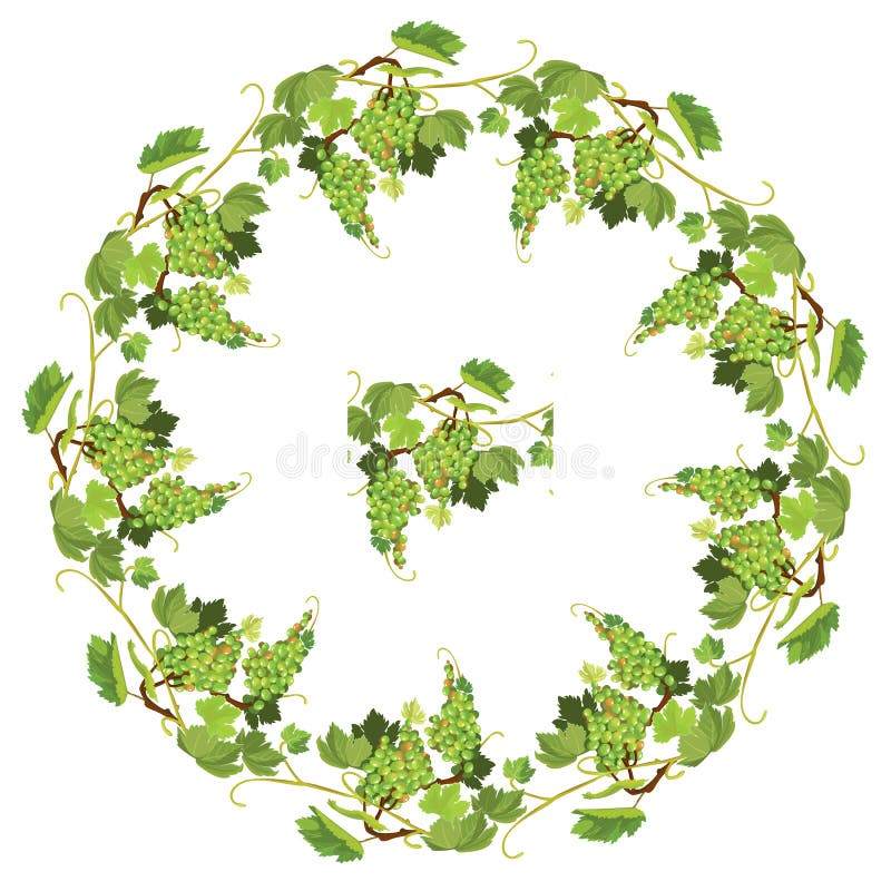 Round Grapes Frame And Repeated Element For Wine Labels Or Menu Stock ...