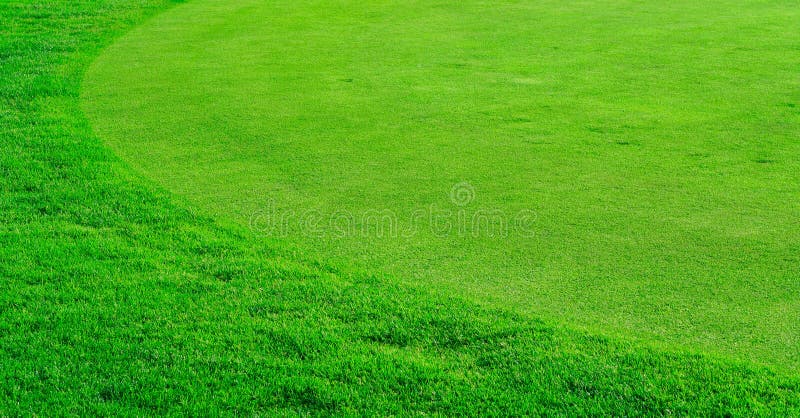 Lush Green Grass stock photo. Image of court, outdoors - 3569136