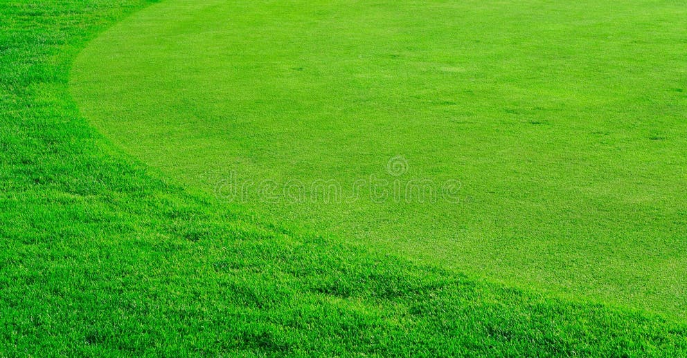8,869 Side Grass Texture Stock Photos - Free & Royalty-Free Stock ...