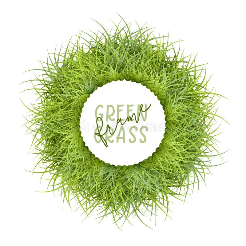 Round Grass Frame stock vector. Illustration of spring - 166148811