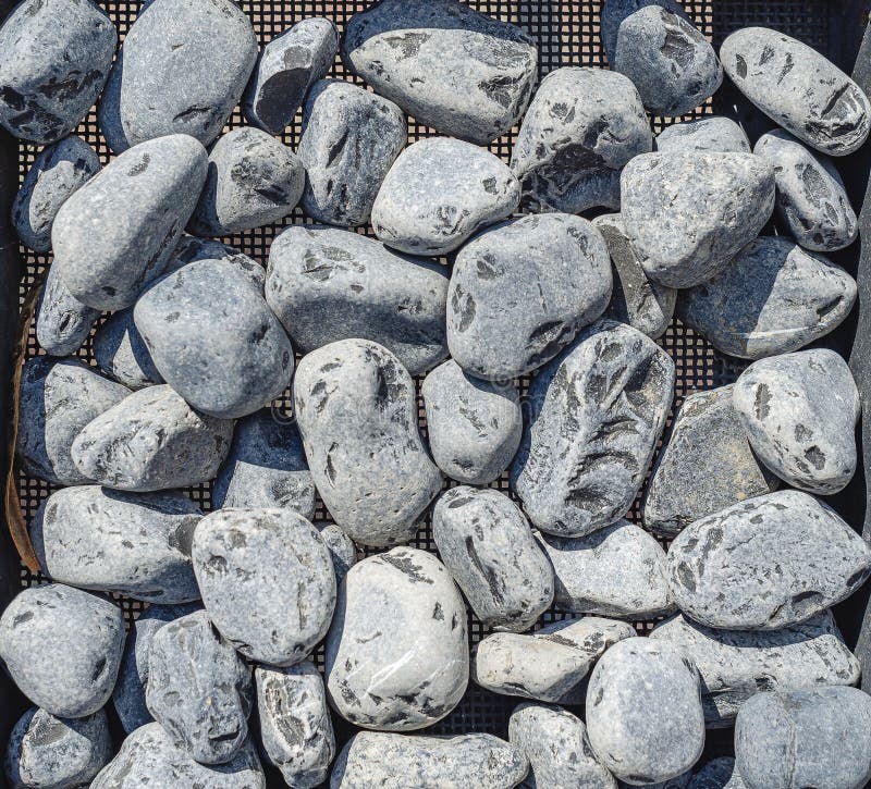 Round Gray River Stone. Lots of Stones in a Construction Sieve. the Use ...