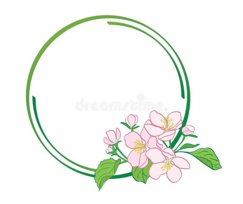 Round Green Frame with Apple-tree Flowers - Vector Stock Vector ...