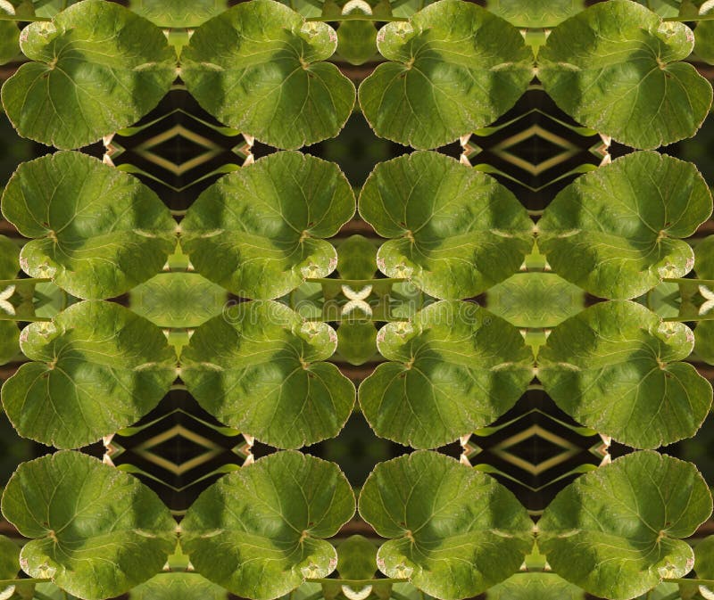 ROUND GREEN LEAF REPEAT PATTERN Stock Illustration - Illustration of ...