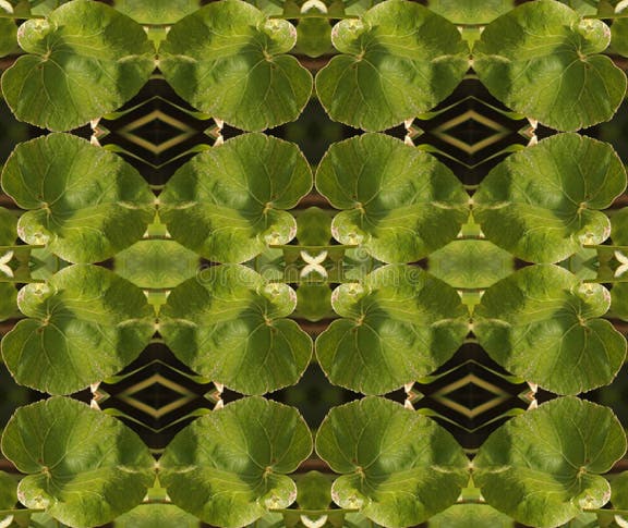 ROUND GREEN LEAF REPEAT PATTERN Stock Illustration - Illustration of ...