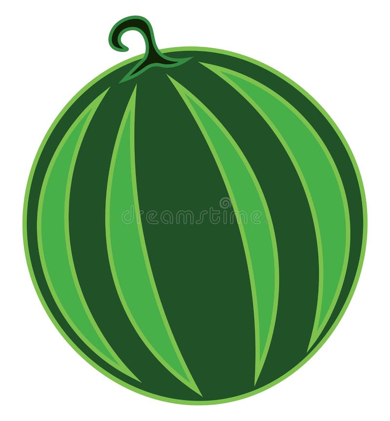A Round Watermelon Vector or Color Illustration Stock Vector ...