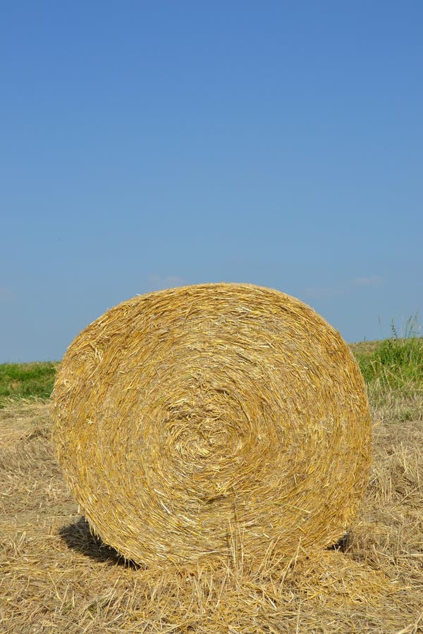 Round Hay Bails stock image. Image of countryside, feed - 73437357