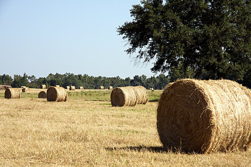 Round Hay Bale in Field stock image. Image of horizontal - 6592389