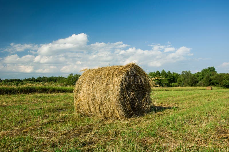 Round Hay Bale in the Field, Forest and White Clouds on Blue Sky Stock ...