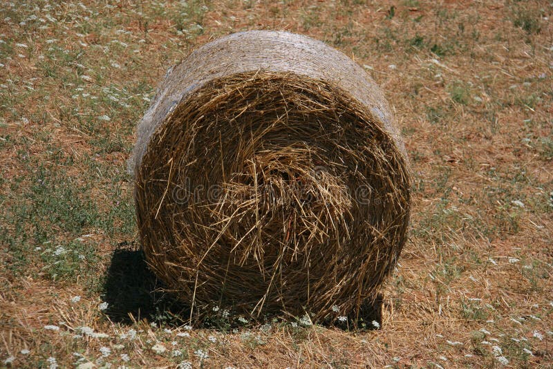 Round hay bale stock image. Image of food, farm, country - 141987211