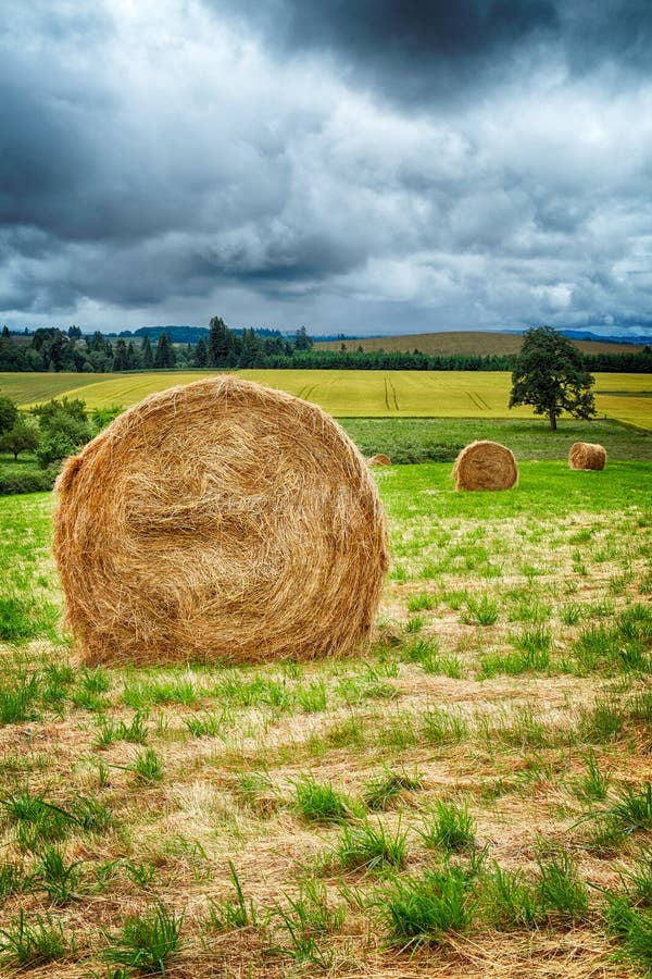 Round Hay Bale stock photo. Image of grain, crop, willamette - 41795686