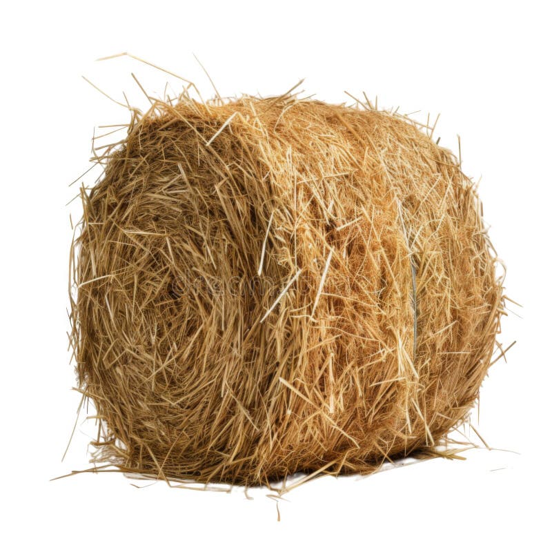 A Round Hay Bale with Loose Straw Hanging Stock Image - Illustration of ...