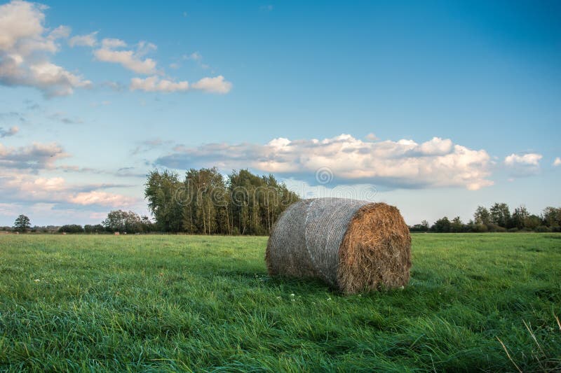 Round Hay Bale Lying on a Green Meadow, Copse and Cloud in the Sky ...