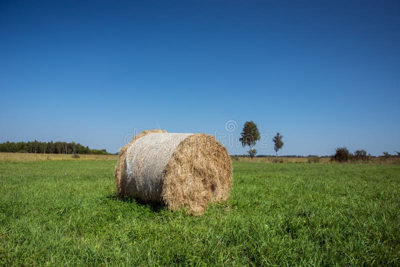 Round Hay Bale in a Green Meadow at Sunset Stock Photo - Image of ...