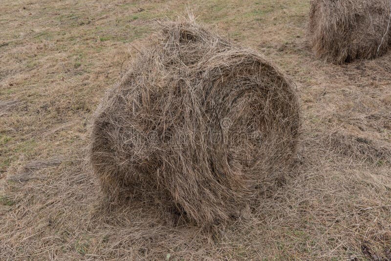 Round Hay Bale Roll Dry Grass Pack Stock Photo - Image of rural, feed ...