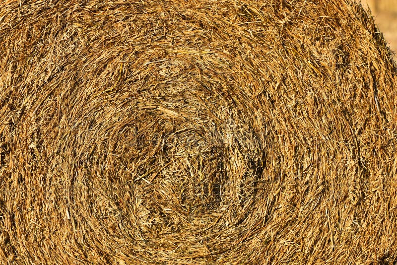 Round Hay Bale Texture stock photo. Image of agriculture - 130580998