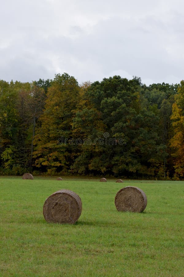 Round Hay Bales in the Field Stock Photo - Image of fodder, lawn: 106052114